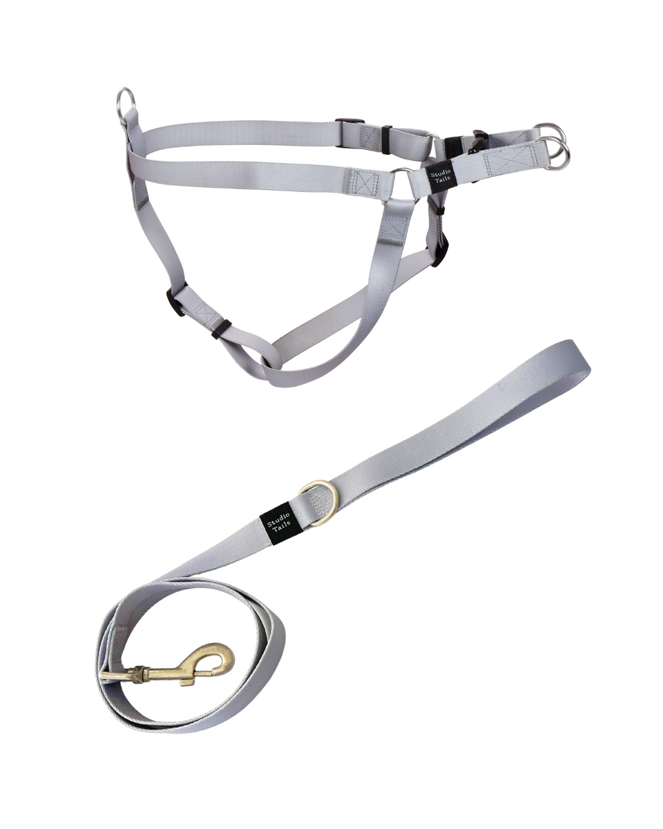 Cool Gray Harness Walk Set | Dog Walking Sets | Studio Tails